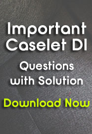 Caselet DI Questions with Solution for Bank PO Mains